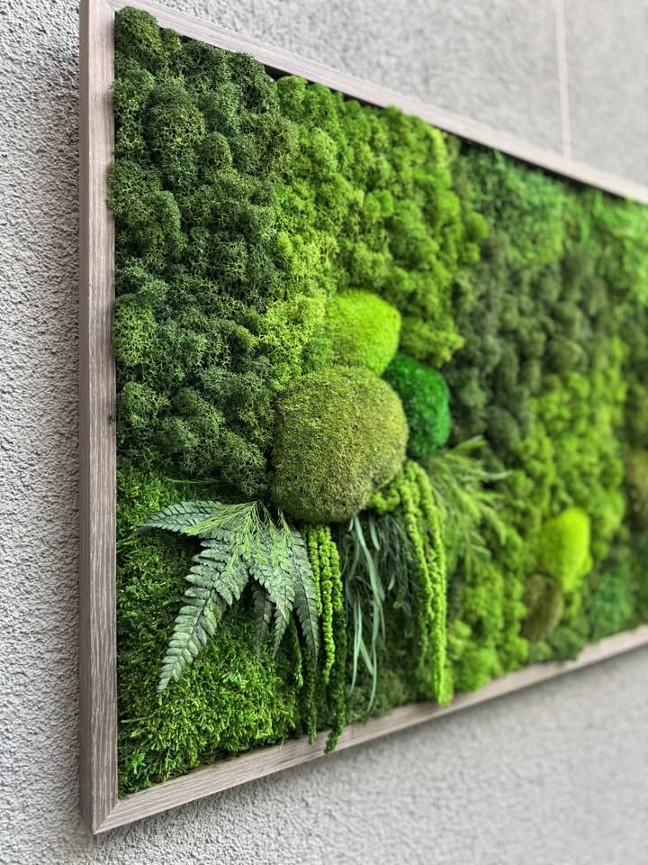 MOSS PAINTINGS EXHIBITION - Grandspa